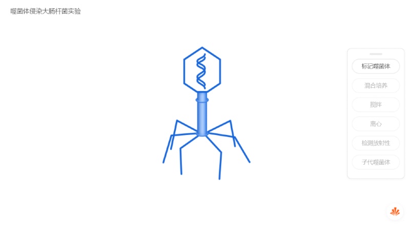 噬菌体侵染大肠杆菌实验_火花学院
